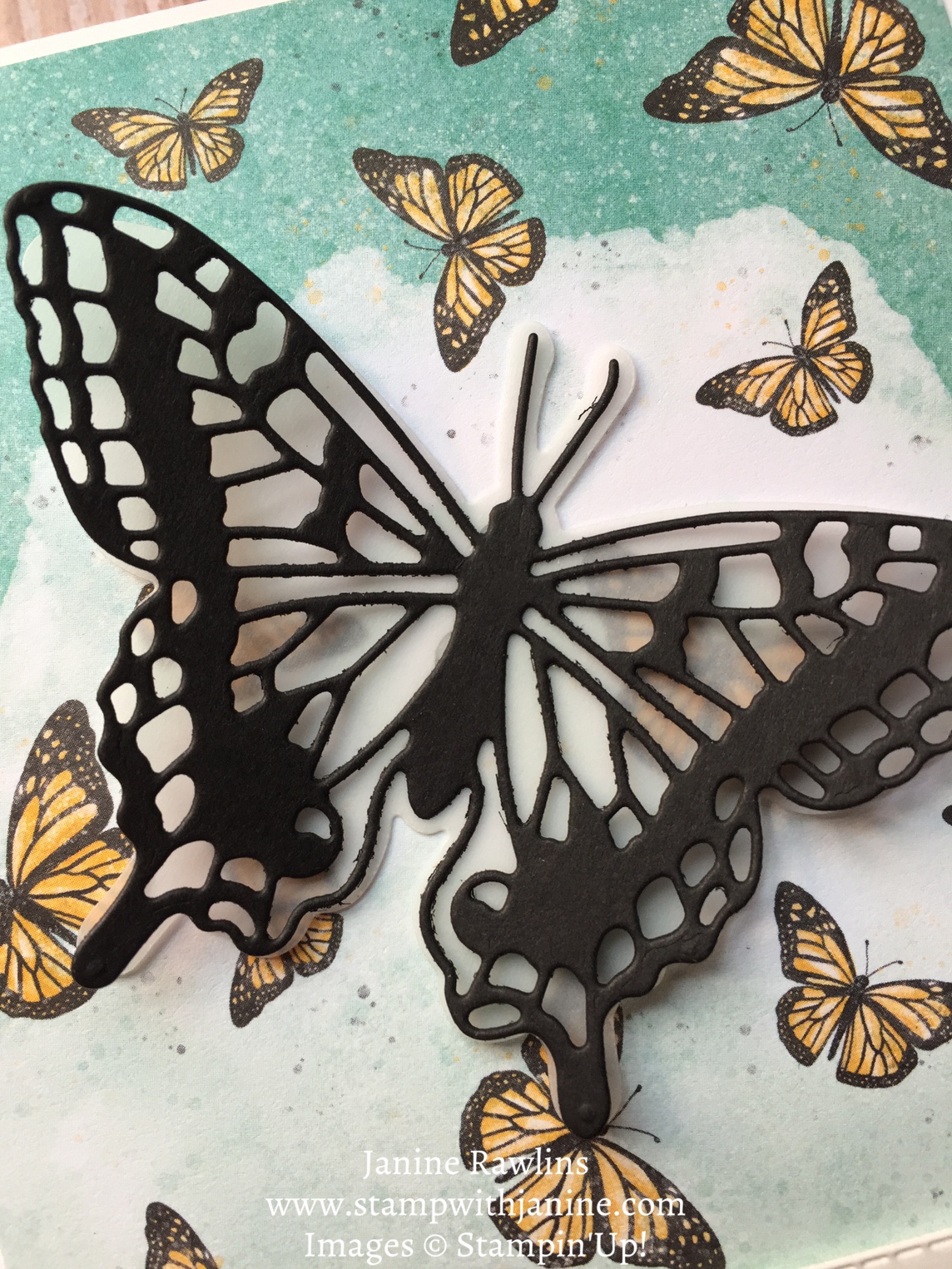 Butterfly Bouquet - Janine Rawlins, CreateWithJanine.com