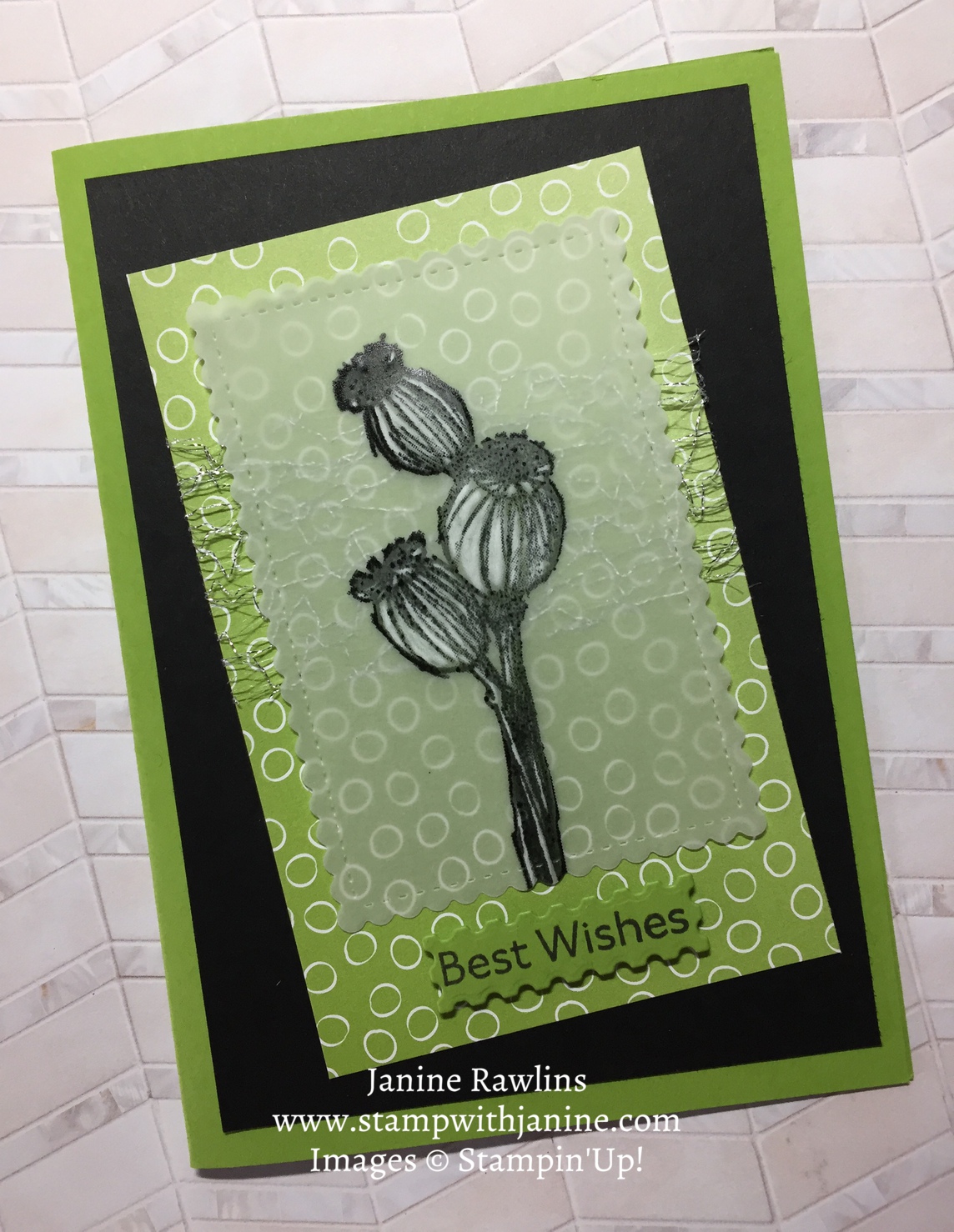 Have you dry embossed vellum? - Janine Rawlins, CreateWithJanine.com
